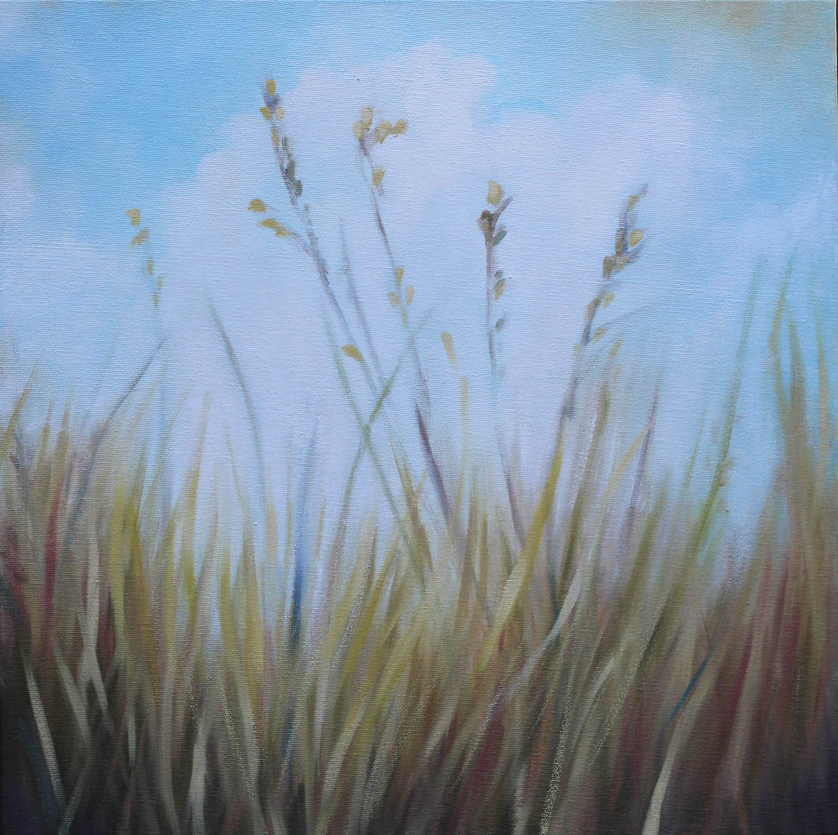 Lisa Hebden | Art Gallery of Greater Victoria