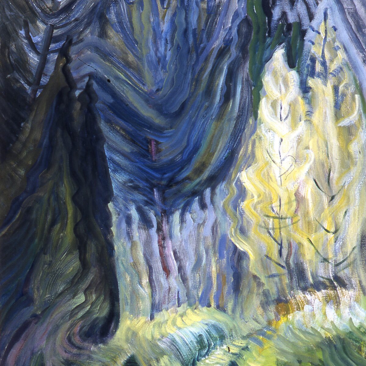 A View From Here | Art Gallery of Greater Victoria