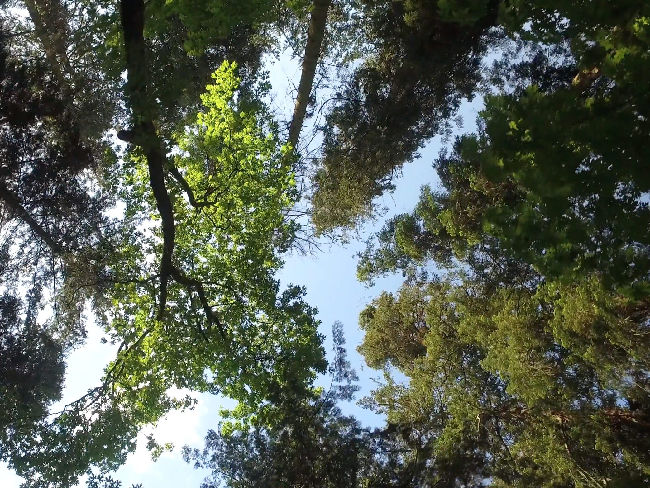 National Indigenous Peoples Day | Art Gallery of Greater Victoria